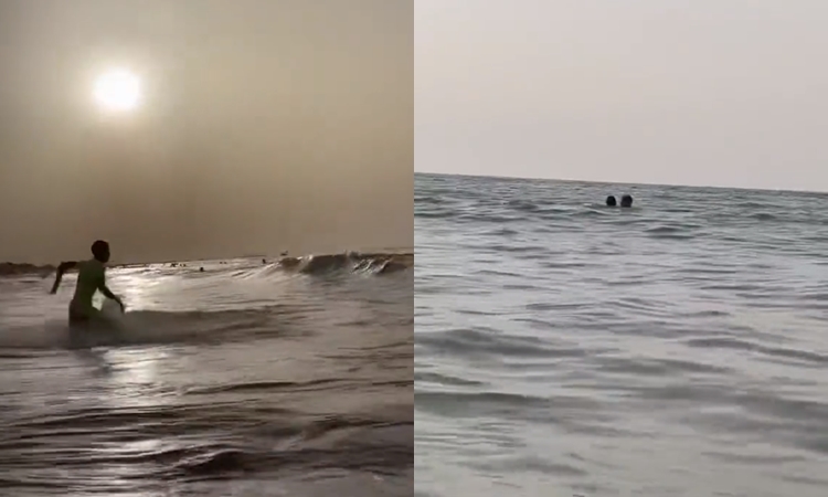 Man Hailed as Hero for Saving Someone Drowning