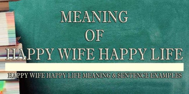 Happy Wife Happy Life Meaning & Sentence Examples | Newspapers