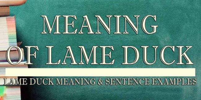 Lame Duck Meaning & Sentence Examples