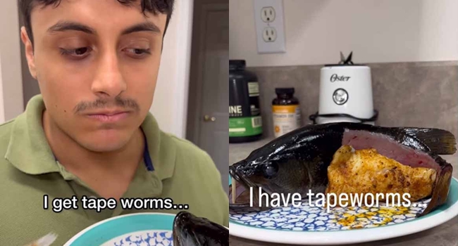 Content Creator Eats Fish Infested With Tapeworms to Become Viral ...
