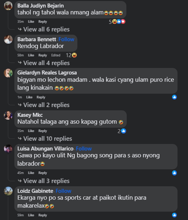 Rosmar Tan Throws Shade at Rendon Labador: "Tumatahol yung labrador ko ...