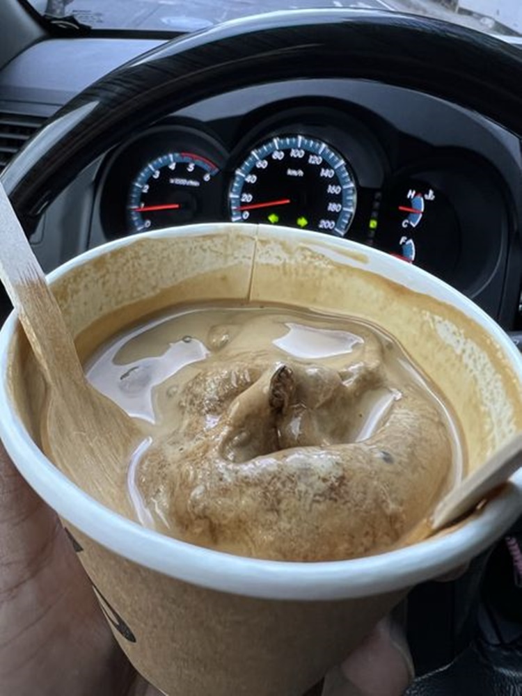 Customer Airs Dissatisfaction After Finding Cockroach in Ordered Ice ...