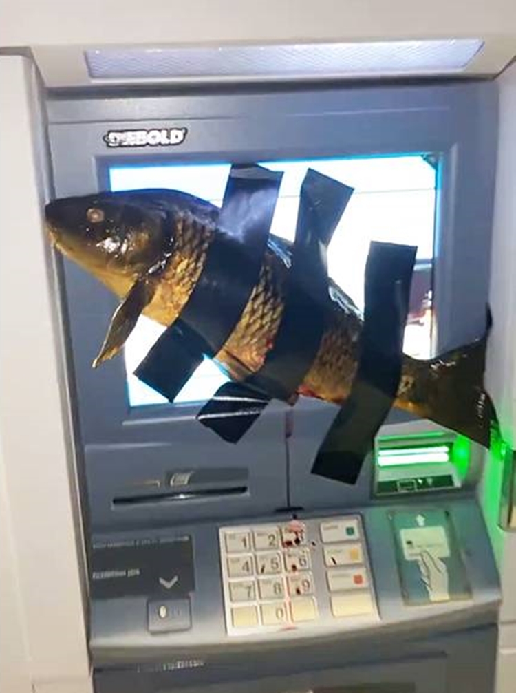 Teen Arrested for Sticking Fresh Fish to ATM Screens | Newspapers