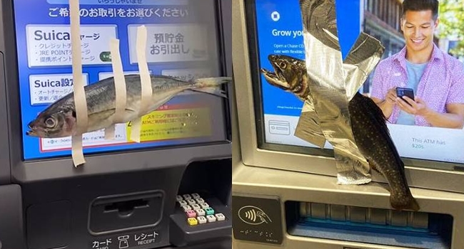 Teen Arrested for Sticking Fresh Fish to ATM Screens | Newspapers