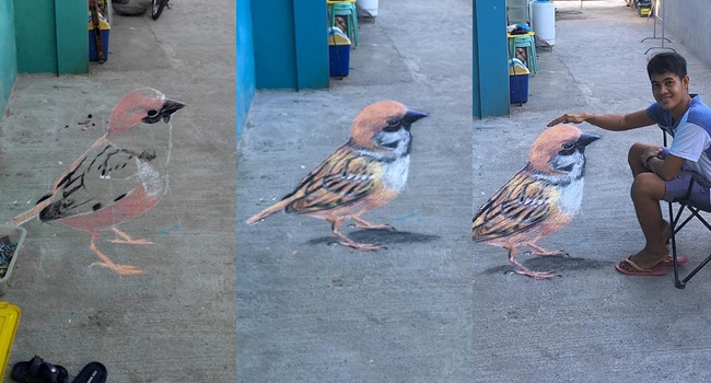 Giant Pink Maya Bird Wows Netizens | Newspapers