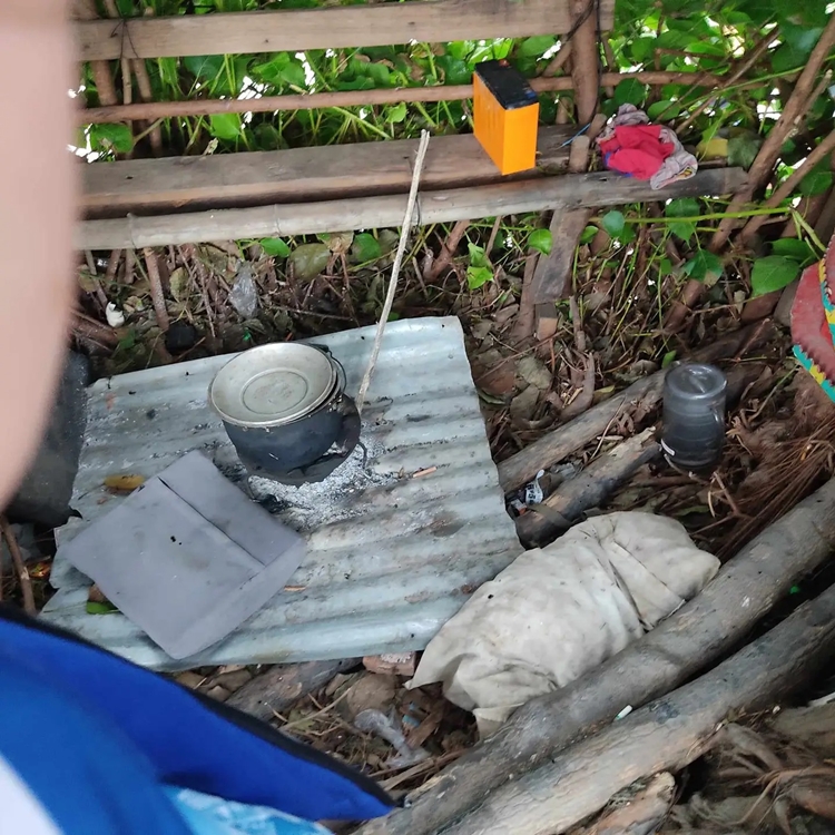 Two Young Siblings Left Alone in a Tree House in Lapu-Lapu City ...