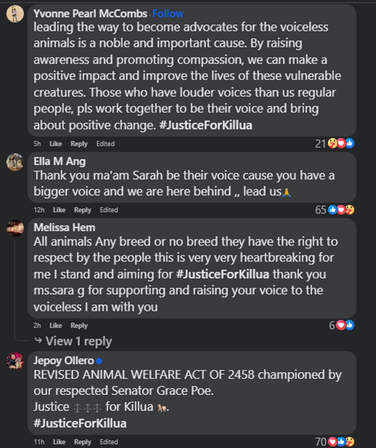 Sarah Geronimo Reacts to Killing of Golden Retriever Killua | Newspapers