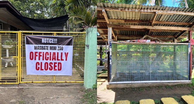 Masbate Mini Zoo Shut Down for Feeding Live Cat to Snake | Newspapers