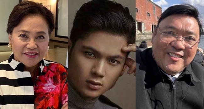 Rowena Guanzon Comments on Harry Roque's Supranational Travel Buddy ...