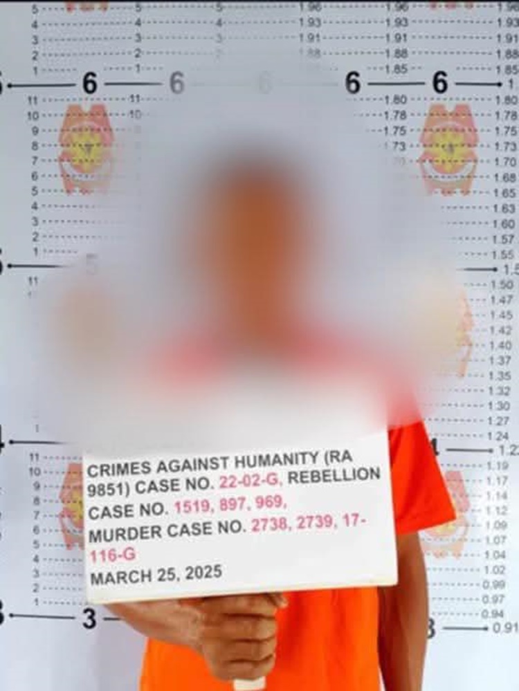 Alleged NPA Commander Surrenders After Growing Tired of Hiding | Newspapers