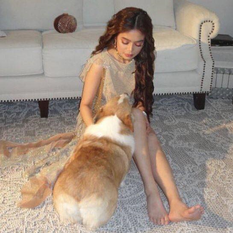 Bianca De Vera’s Mom Urges PBB to Let Her Know About Dying Dog | Newspapers