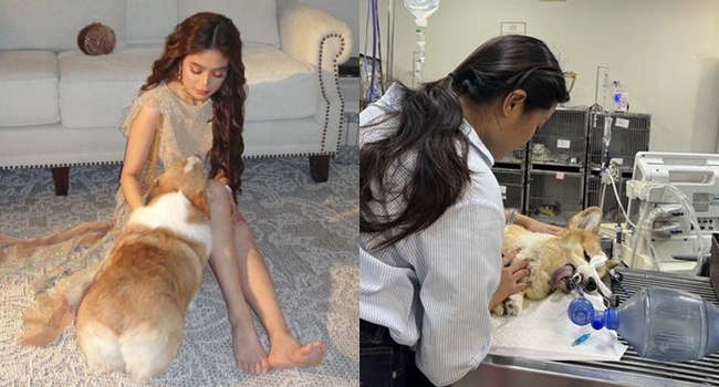 Bianca De Vera’s Mom Urges PBB to Let Her Know About Dying Dog | Newspapers