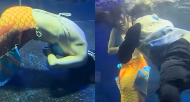 Mermaid Performer Nearly Drowns During Show | Newspapers