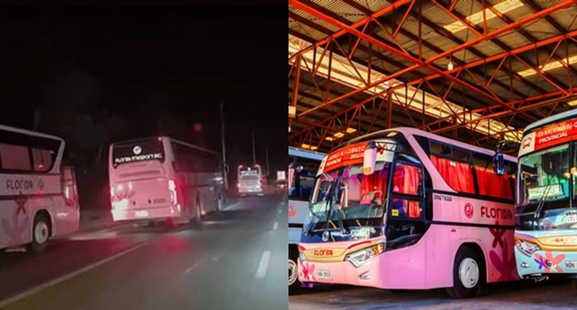 GV Florida Withdraws Complaint Against Viral Bus Race Video Uploader | Newspapers