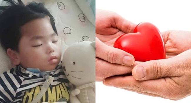 Bedridden Boy Saves Three Lives Through Organ Donation | Newspapers