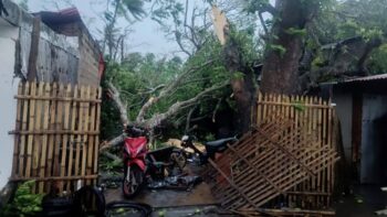 Typhoon Opong Brings Destruction in Samar, Masbate Provinces; Landslide ...