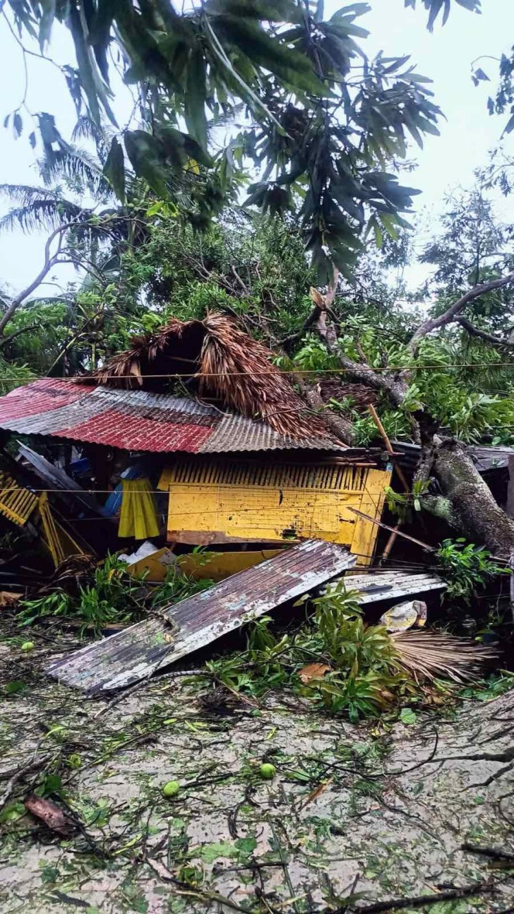 Typhoon Opong Brings Destruction in Samar, Masbate Provinces; Landslide ...