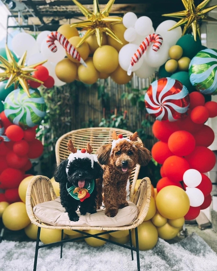 SHOPEE BUDOL FINDS – Christmas Balloon Arch (Features & Price) | Newspapers