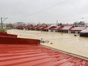 15-Year-Old Hero Saves Over 50 Lives During Typhoon Tino | Newspapers