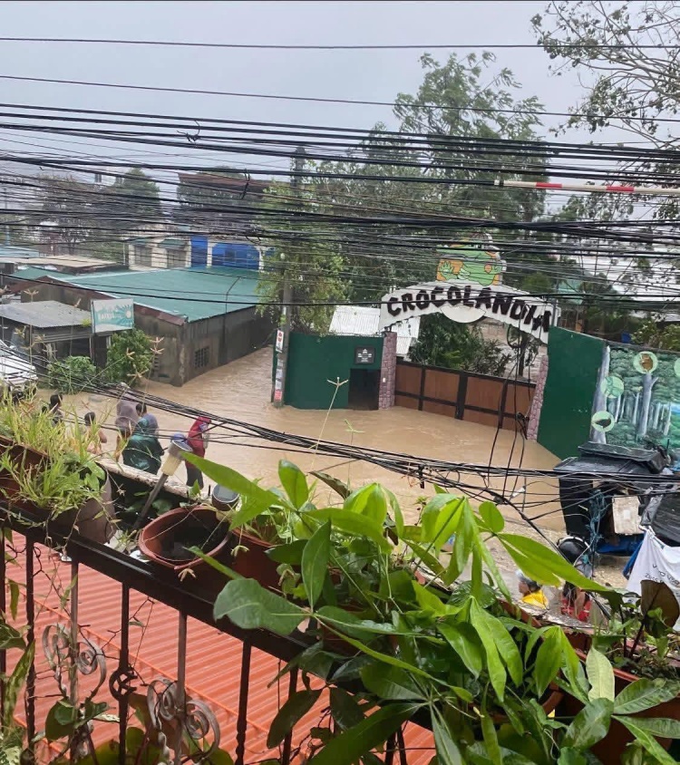 Crocodile and Wildlife Park in Cebu "Crocolandia" Getting Affected by ...