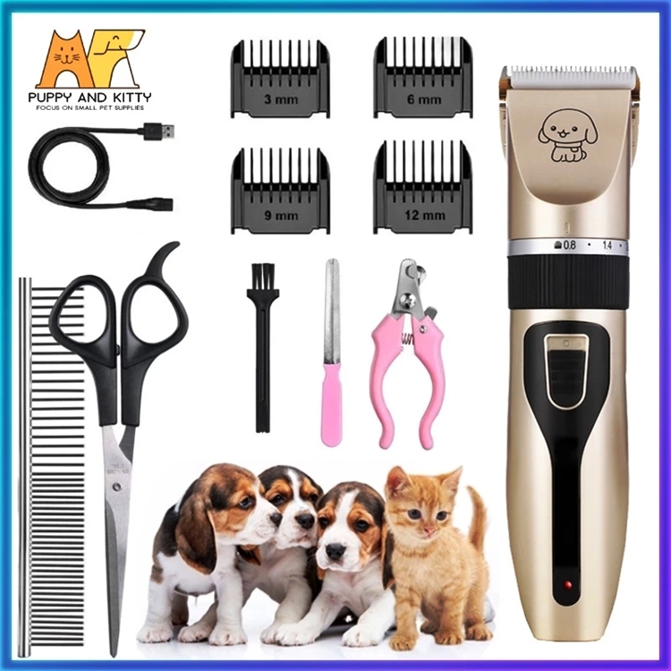 SHOPEE BUDOL FINDS – Pet Grooming Set (Features & Price) | Newspapers