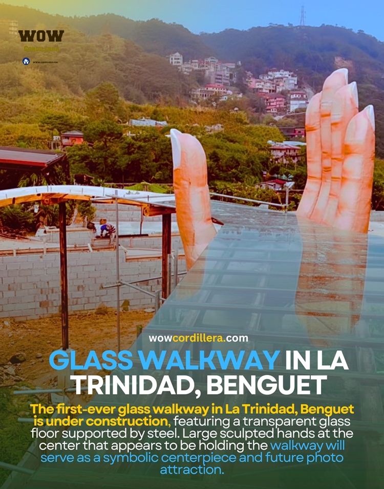 John Manalo Criticizes Proposed Benguet Glass Walkway | Newspapers