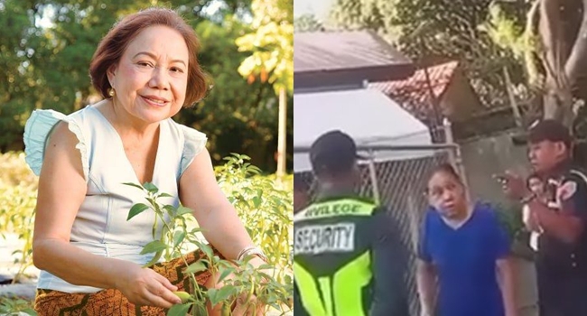 Cynthia Villar Breaks Silence on Viral Confrontation with a Security ...